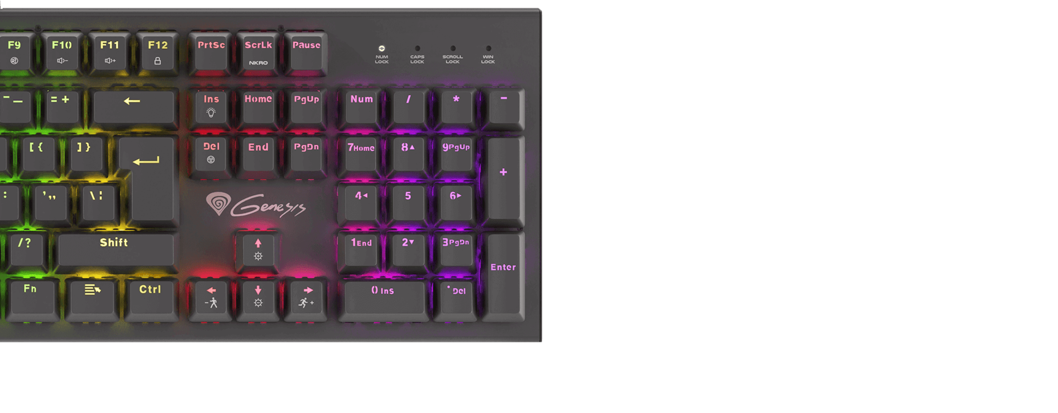 Thor 300 RGB Outemu Brown | GENESIS